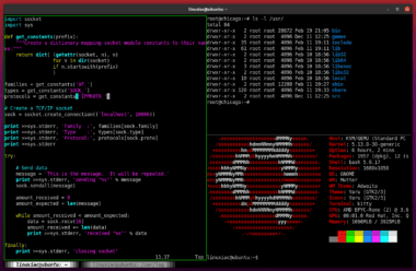 Kitty Terminal Emulator: How to Install, Configure, and Use It