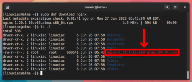 DNF Command-Line Package Manager in Linux: A Complete Guide