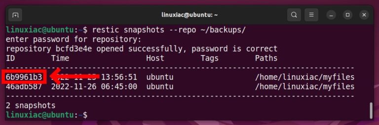 Restic Backup and Restore Data on Linux with Examples