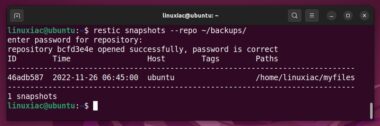 Restic Backup and Restore Data on Linux with Examples