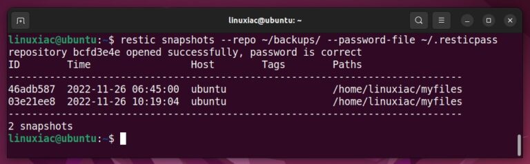 Restic Backup and Restore Data on Linux with Examples