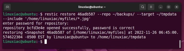 Restic Backup and Restore Data on Linux with Examples