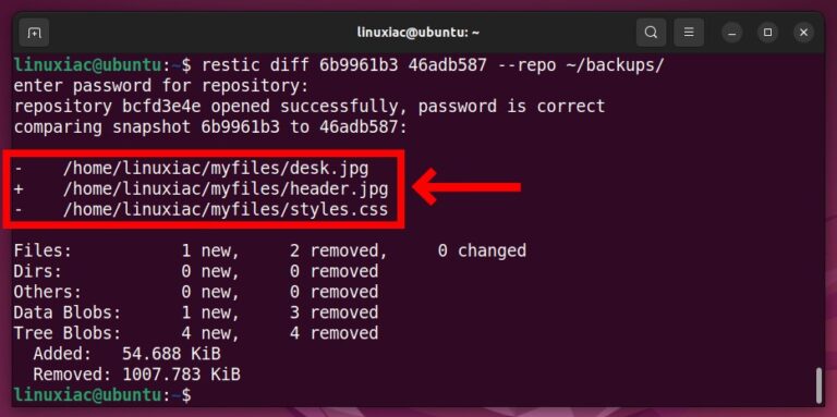 Restic Backup and Restore Data on Linux with Examples