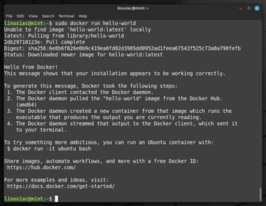 How to Install Docker on Linux Mint 21: A Step-by-Step Guide