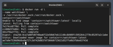 Watchtower: Automatically Update Docker Container Images