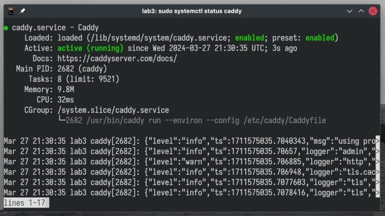 How to Set up Caddy as a Reverse Proxy