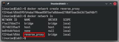 How to Set Up Reverse Proxy with Nginx Proxy Manager (NPM)