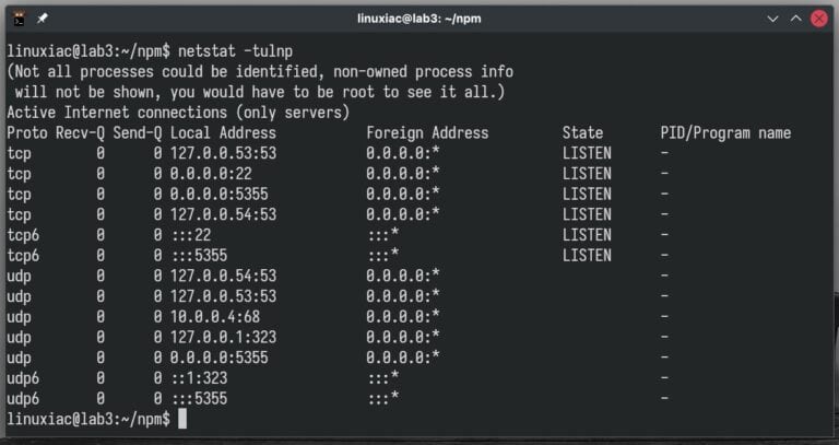 How To Set Up Reverse Proxy With Nginx Proxy Manager Npm