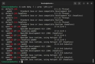 How to Install Java on Ubuntu 24.04 LTS: A Step-by-Step Guide