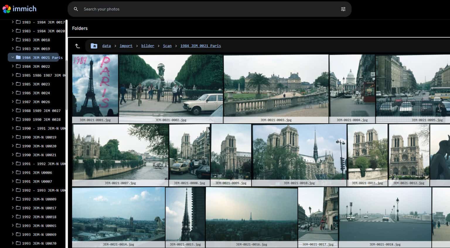 Immich 1.113 Unveils Folder View and Enhanced Tagging