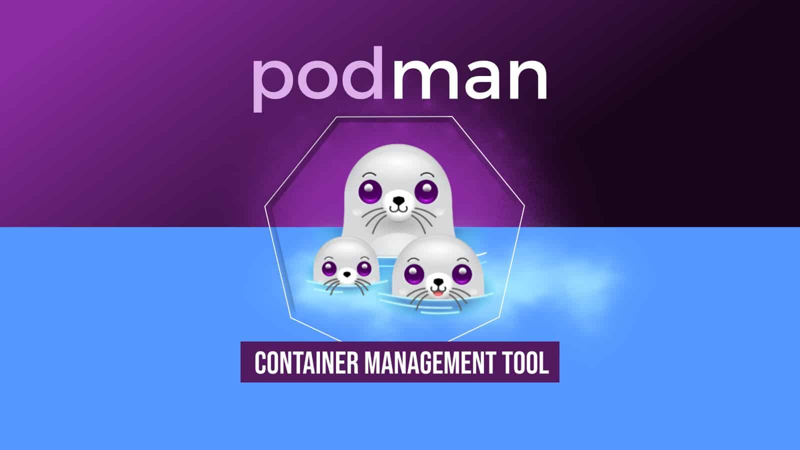 Podman 5 3 Promises An Enhanced Rootless Networking