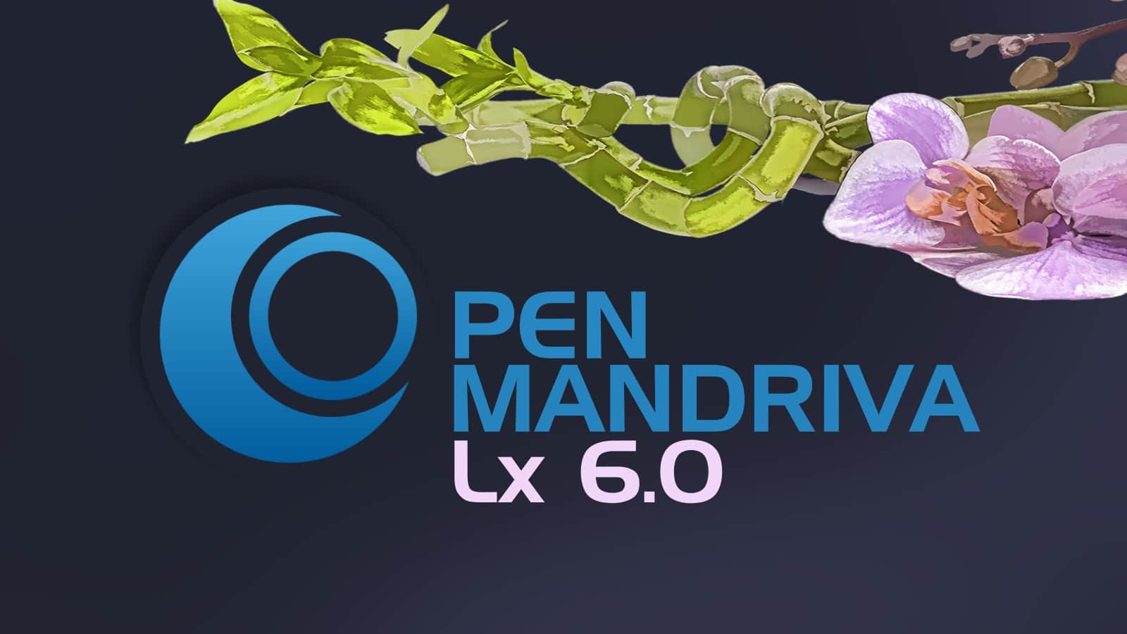 OpenMandriva Lx 6.0 Launches with Plasma 6 and New Server Edition