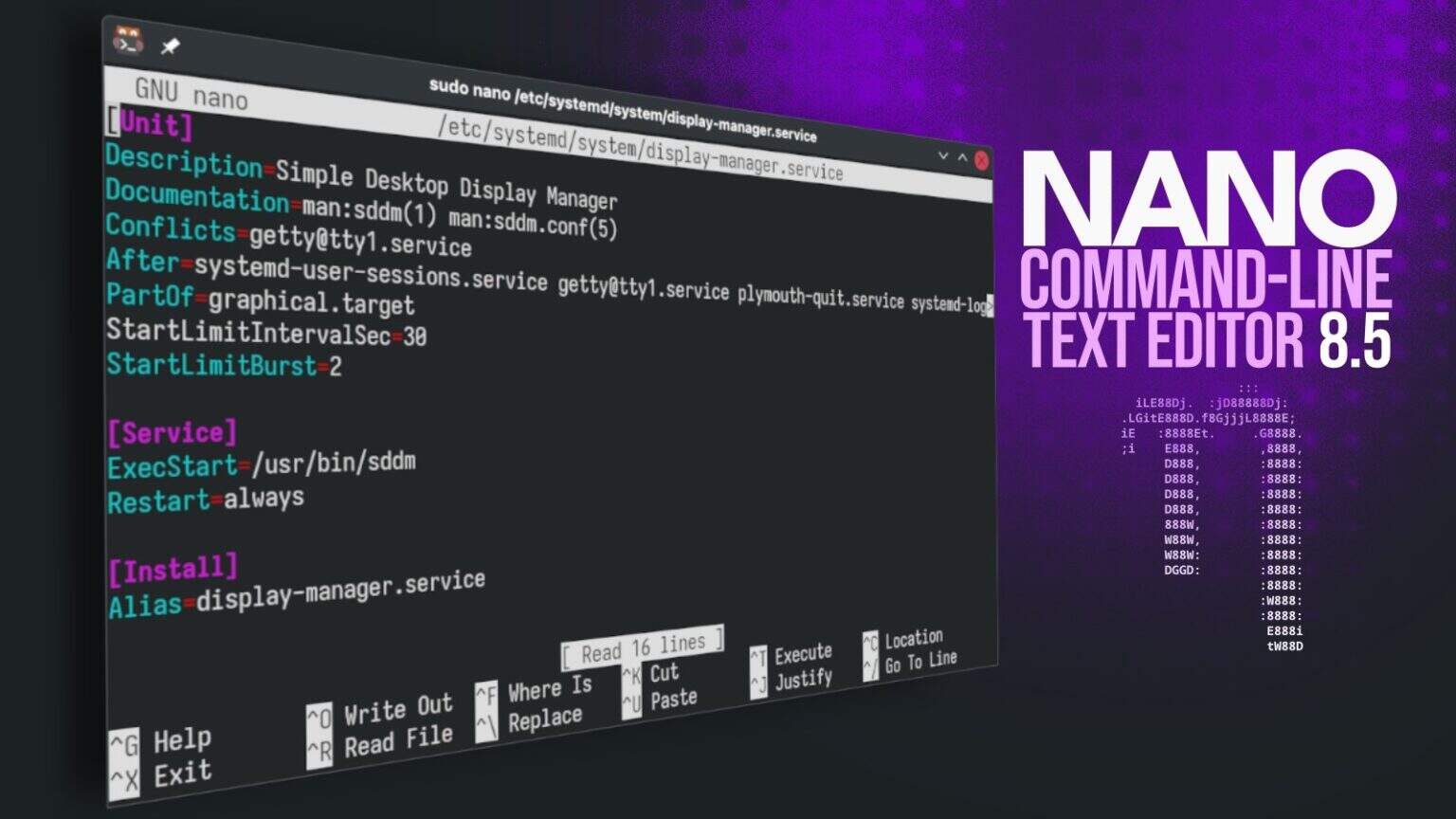 3 Best Linux Terminal Text Editors Perfect for Beginners