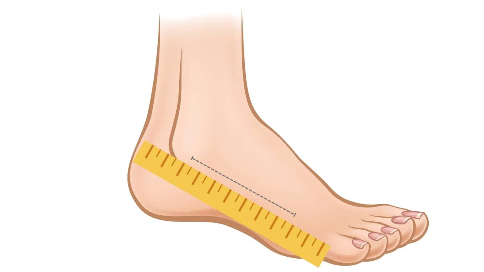 Feiss Line: Test Process for Flat Foot Measurement, Analysis