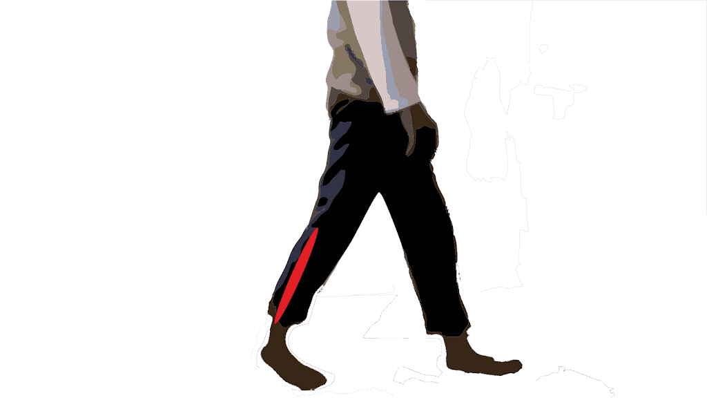 Gait Cycle Muscle Activity| Anatomy explained