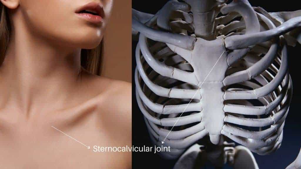 Dislocated Collarbone? Here's 11 Easy Sternoclavicular Joint Rehab ...