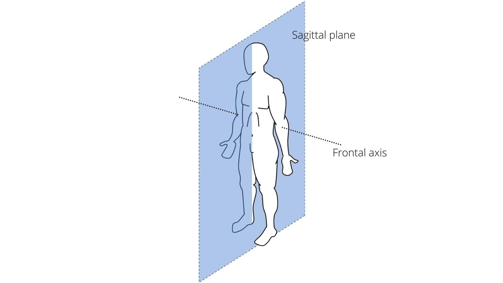 What's Axis and Planes of Body, its Type