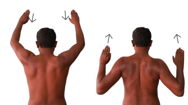 6 Super Easy Exercises for Winging of Scapula Correction