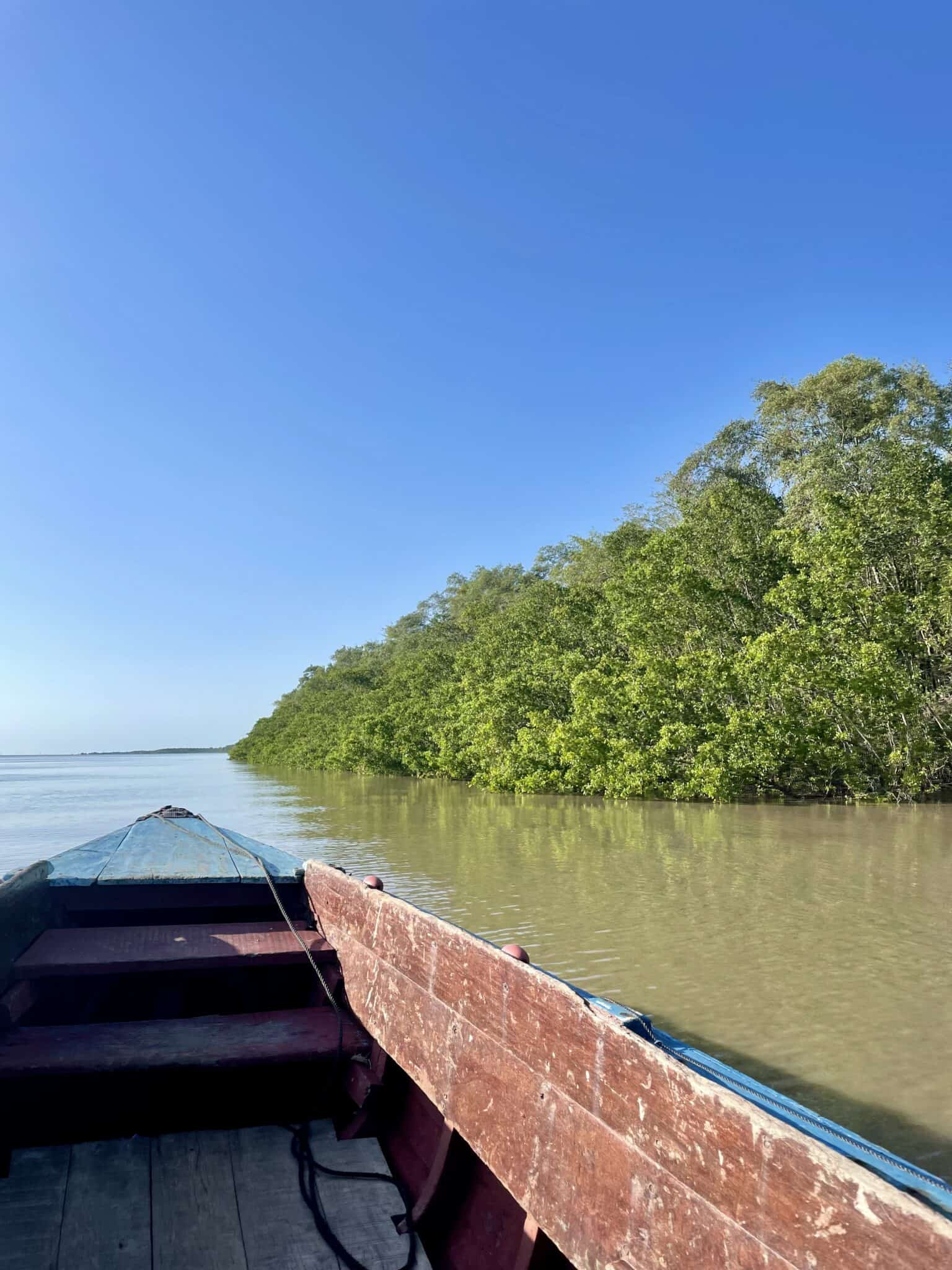 Voltzberg Suriname - klim de iconische granietkoepel en ontdek ...