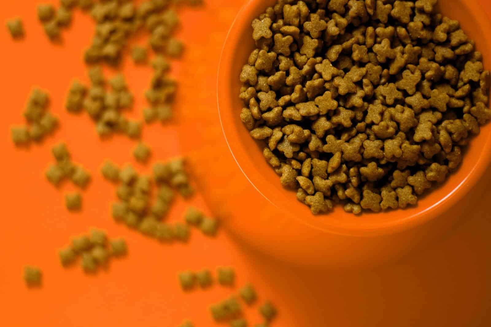 7 Regulatory Requirements Every Cat Food Business Must Meet - TechRound