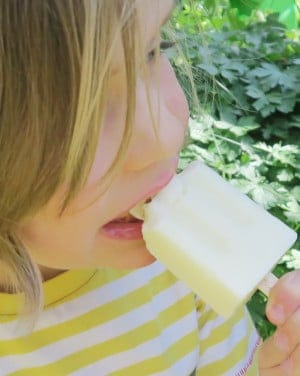 A recipe for Homemade Milk Ice Lollies by The Listed Home