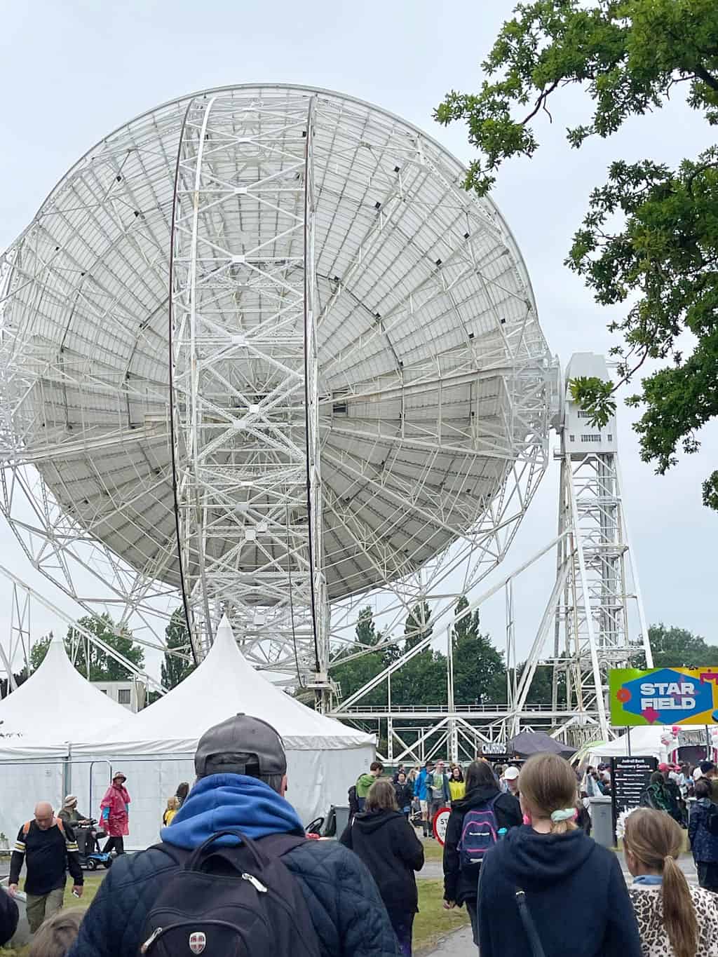 All you need to know about Bluedot Festival | The Listed Home