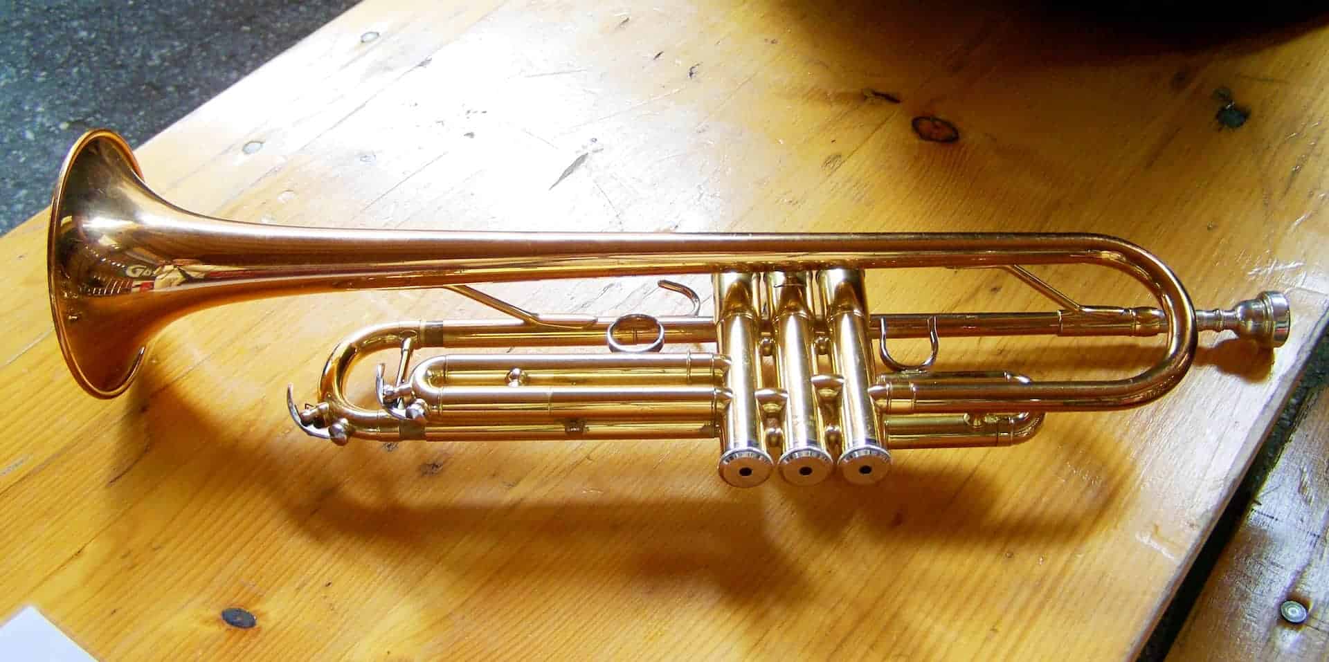 Trumpet vs Trombone: Which is Easier for Beginners to Learn?