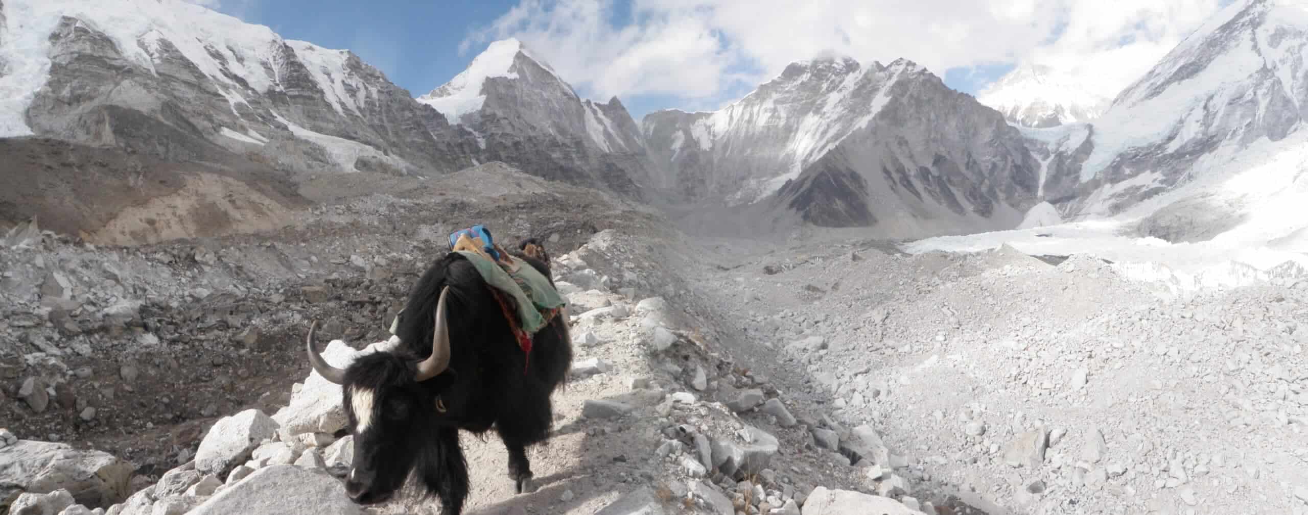 What is a Buff®? - Alpine Ascents International