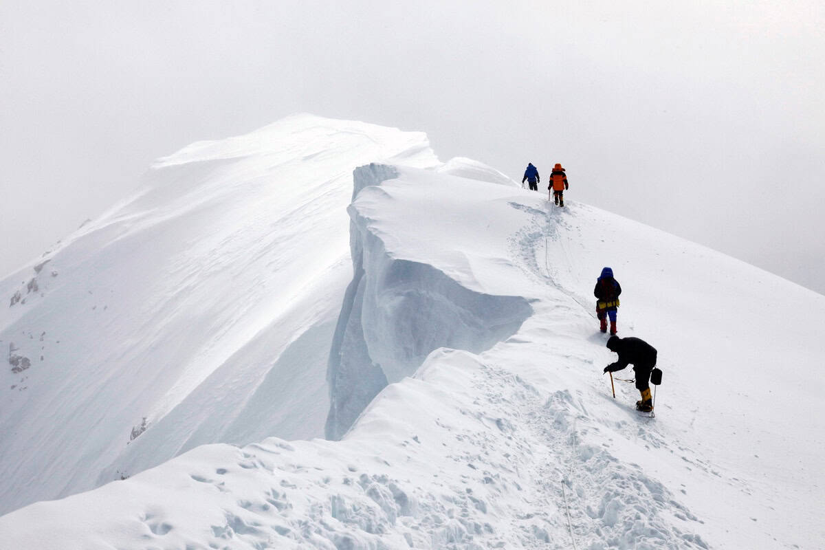 Denali Team Vern Baby Vern Successful Summit! - Alpine Ascents ...