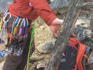 A Guide to Carabiners | Alpine Ascents International | Blog