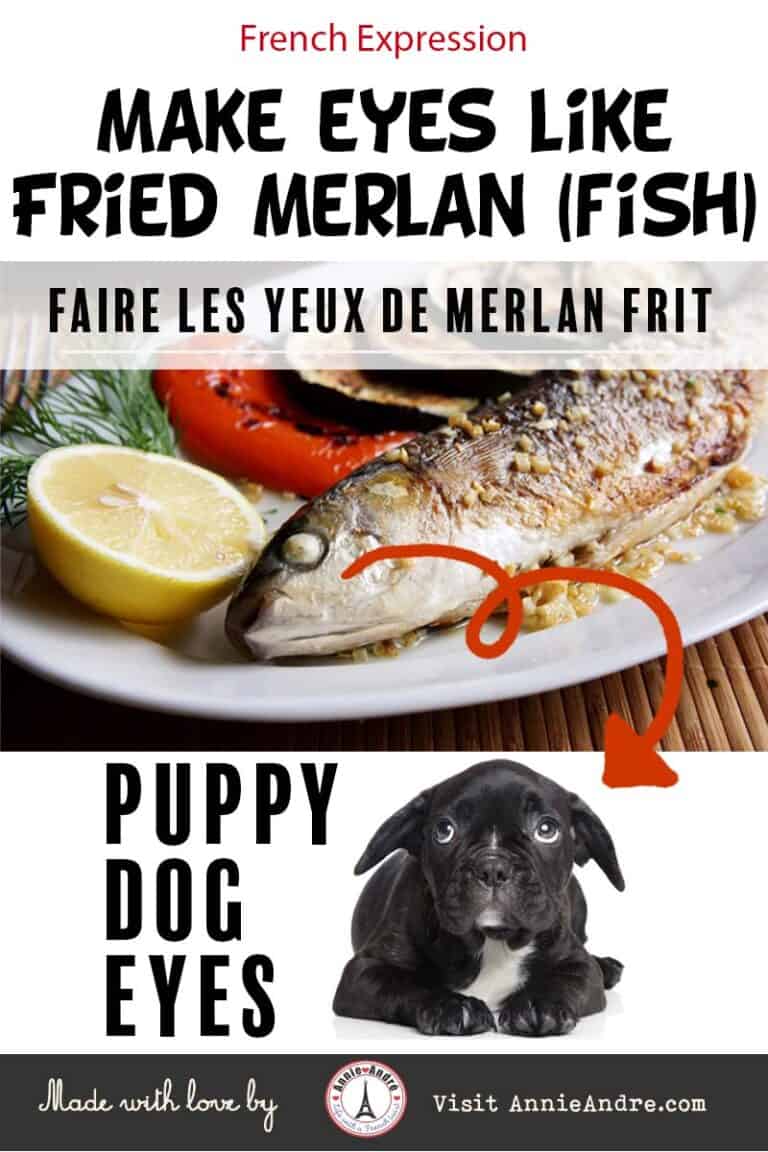 21 French Idioms that only make sense if you're French