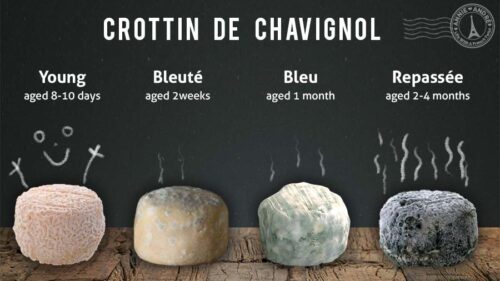 17 Famous French stinky cheeses adored in France, feared by others
