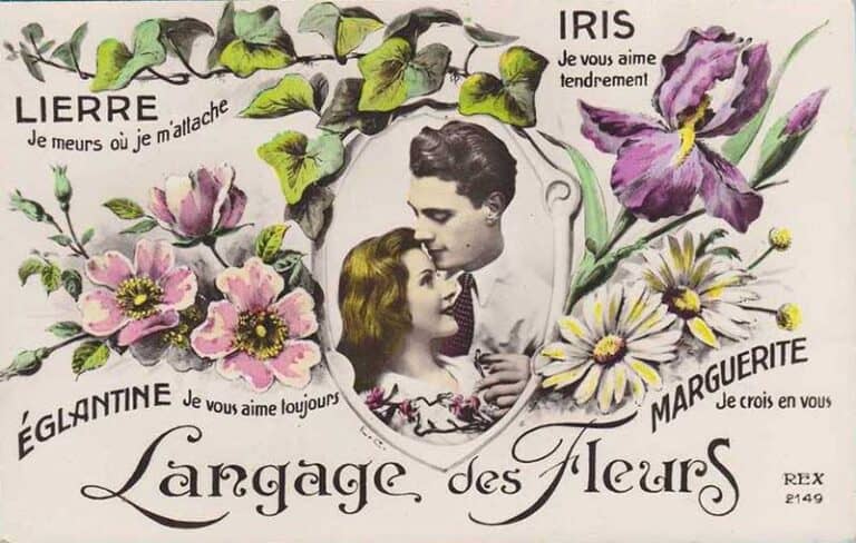Popular flowers in France: Their French flower names & meanings