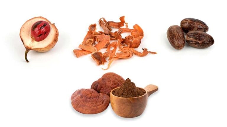 French herbs, spices & seasonings used in French cuisine