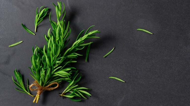 French herbs, spices & seasonings used in French cuisine