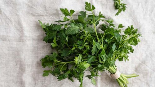 French herbs, spices & seasonings used in French cuisine