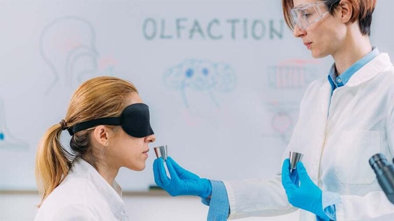 Why people love stinky cheese & smelly foods, according to science!