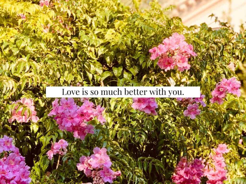 147 Love Messages to Make Them Feel [Amazingly] Special