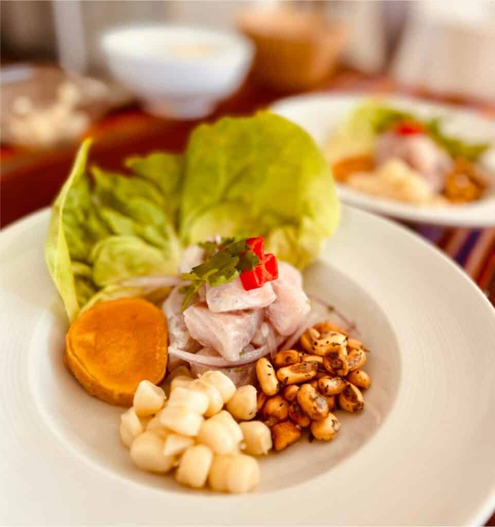 Peruvian Ceviche (Peruvian Chef Approved)