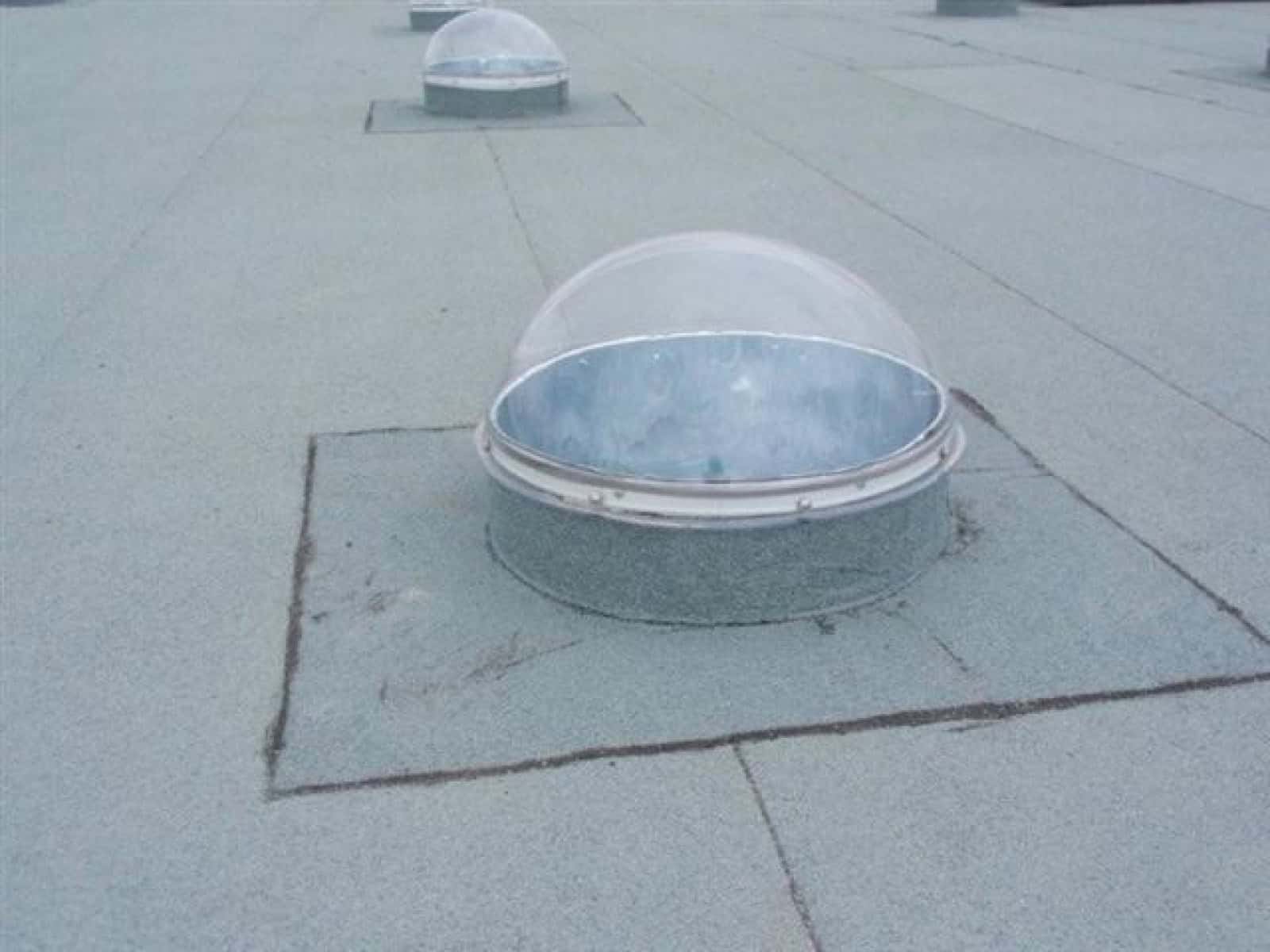 Continente de Mafra – Exuvent