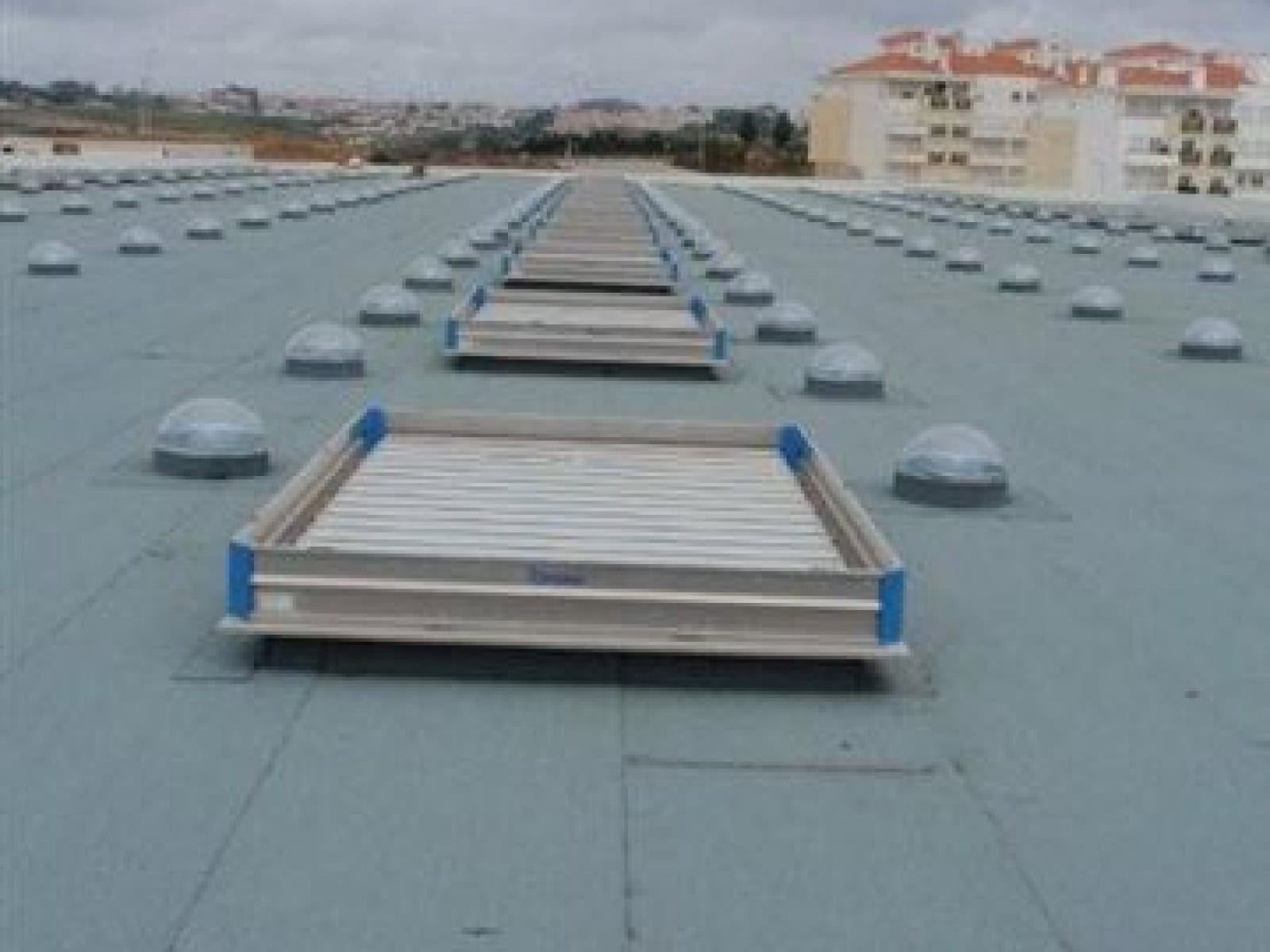 Continente de Mafra – Exuvent