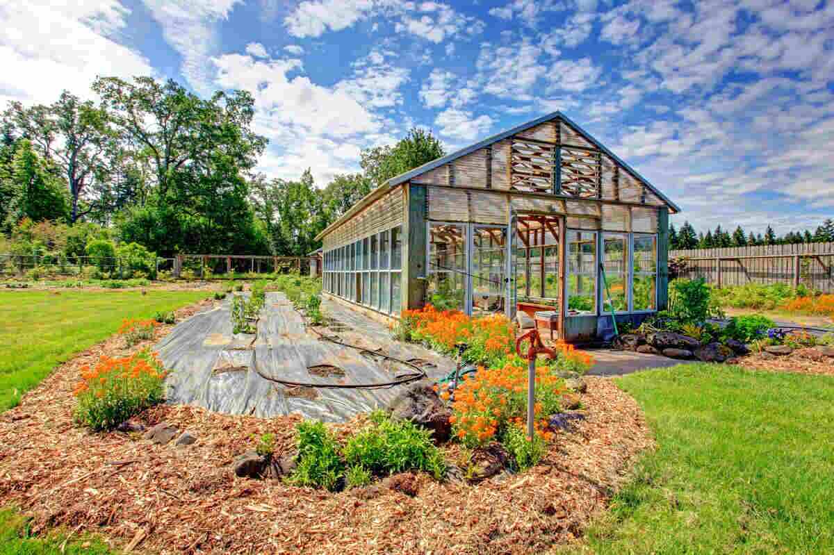 Glass Greenhouse vs. Plastic Greenhouse—Pros and Cons - Green Home Gnome