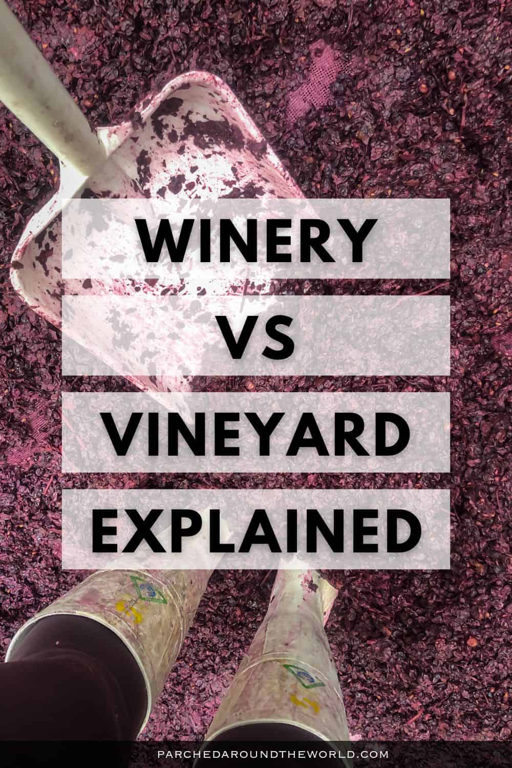 The Difference Between a Winery vs Vineyard Explained