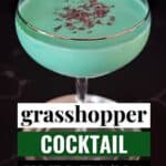 Classic Mint Chocolate Grasshopper Cocktail Recipe