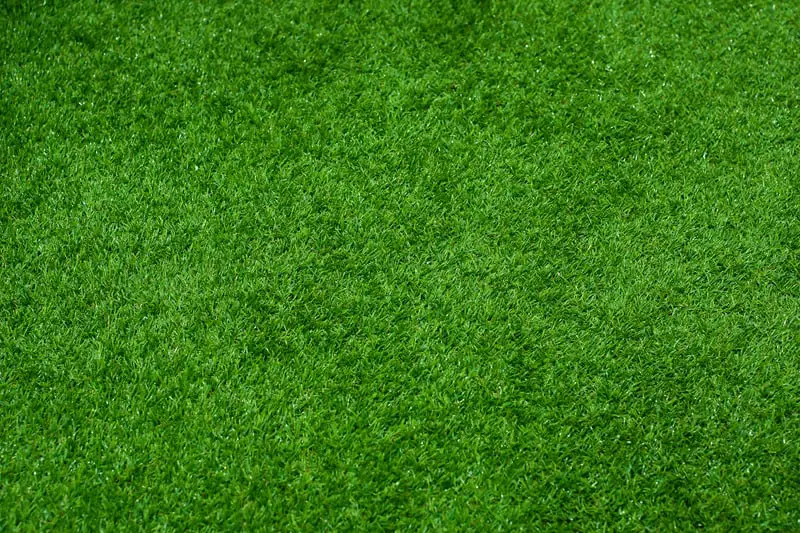 Best Surface Materials For Outdoor Playgrounds – Sunshine & Play