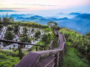 A Travel Guide to Chiayi, Gateway to Ali Mountain - Taiwan Obsessed