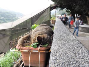 A Travel Guide to New Taipei City, the City of Day Trips - Taiwan Obsessed