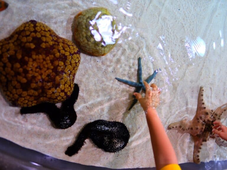 Visiting Xpark Taoyuan, the Best Aquarium in Taiwan - Taiwan Obsessed