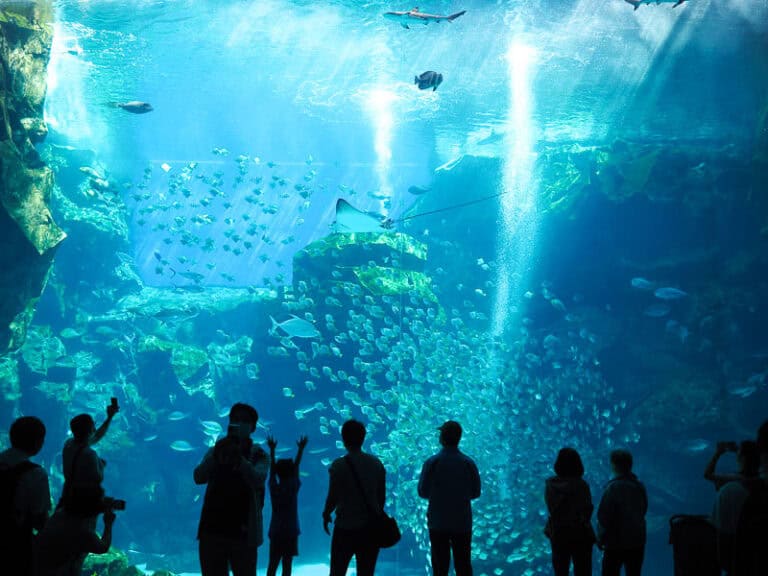 Visiting Xpark Taoyuan, the Best Aquarium in Taiwan - Taiwan Obsessed