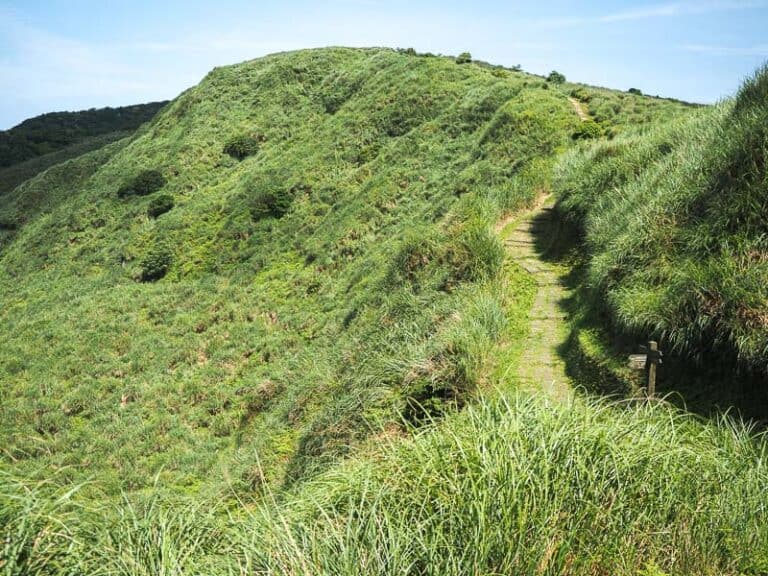 Qingtiangang Grassland: The Best Easy Hike in Yangmingshan NP - Taiwan ...